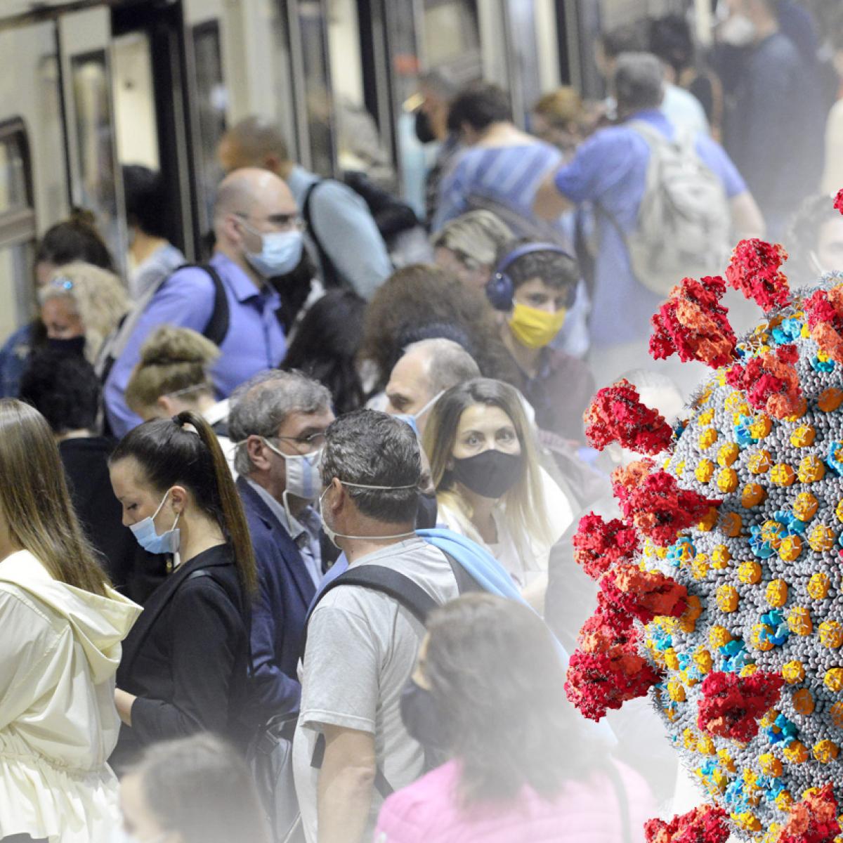 COVID Research at ANSTO | ANSTO