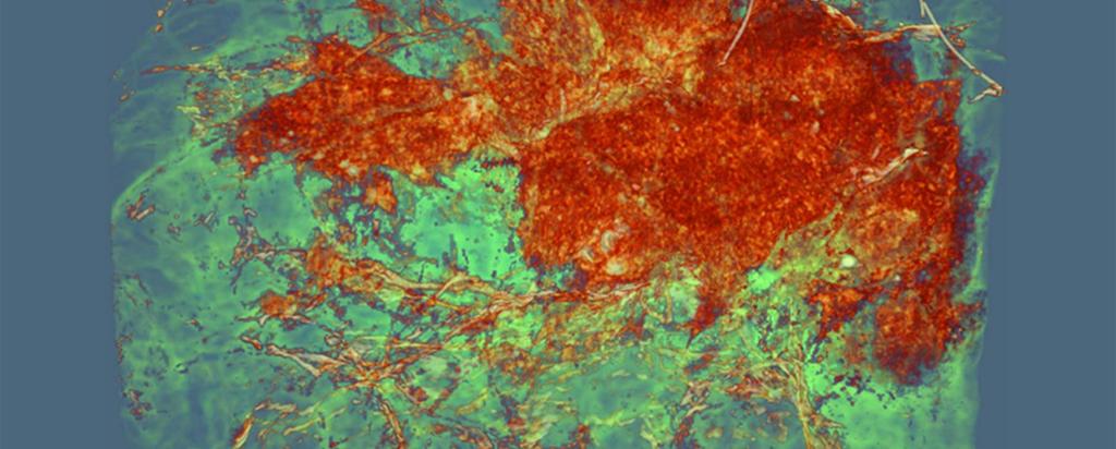 ANSTO | Australia’s Nuclear Science and Technology Organisation