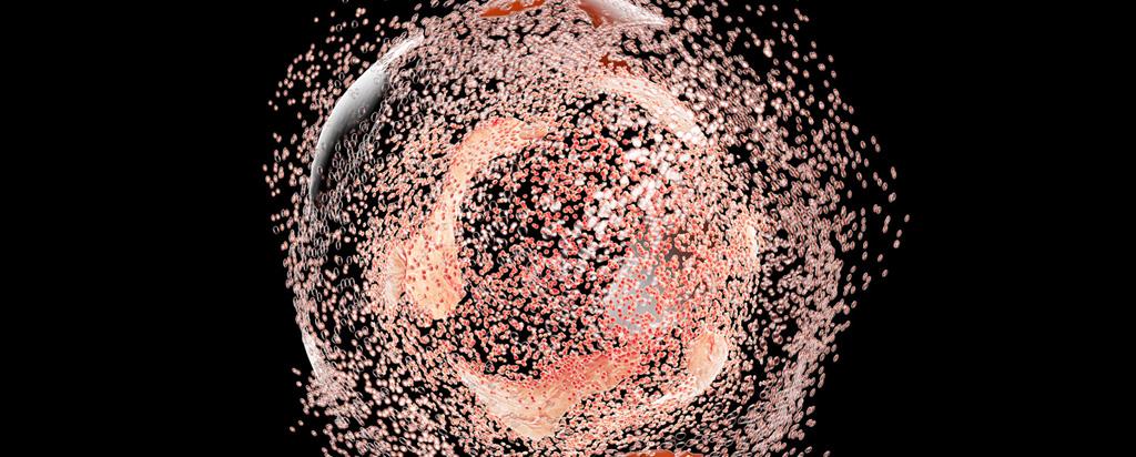 Deciphering the complex molecular activity that leads to cell death | ANSTO