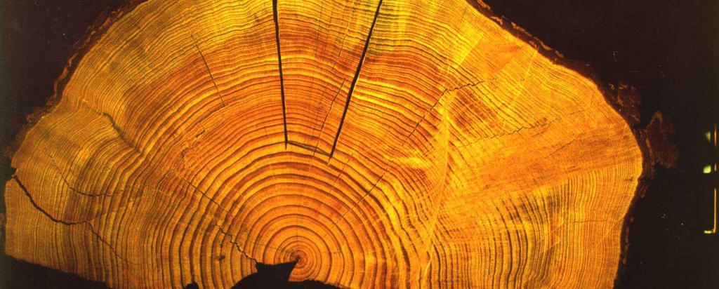 Radiocarbon dating | ANSTO