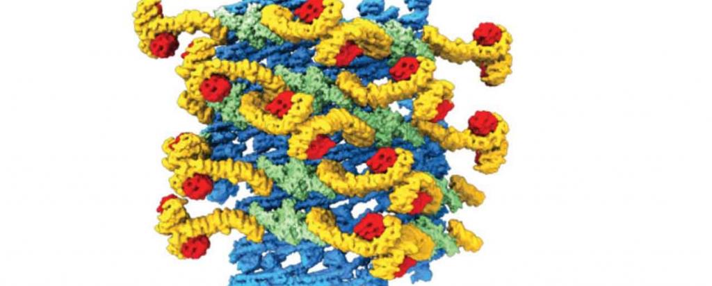 Macromolecular crystallography continues to help elucidate complex ...