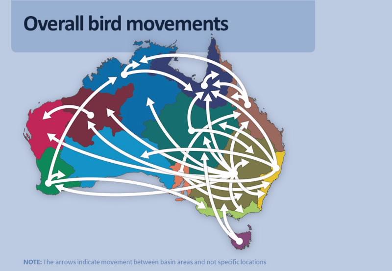 Feather Map of Australia | ANSTO