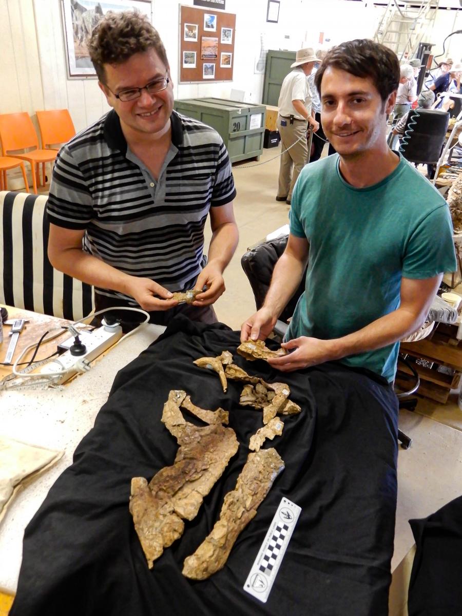 Rare Aussie Dinosaur Skull Fragment's Structure Revealed by Synchrotron ...