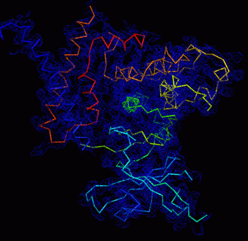 3D structure of a molecular scaffold determined | ANSTO