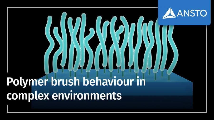It's all about the interface with multi-use polymer brushes | ANSTO